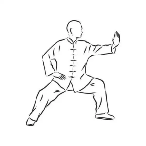 Chinese Kung Fu: History, Styles, and Global Influence
