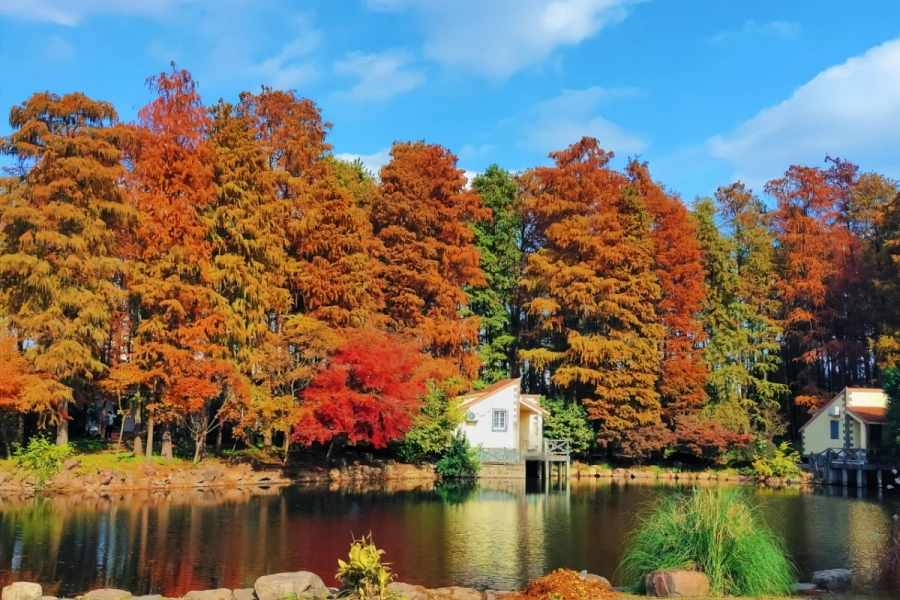 Best Autumn Attractions in Shanghai for Budget Travelers (2026)