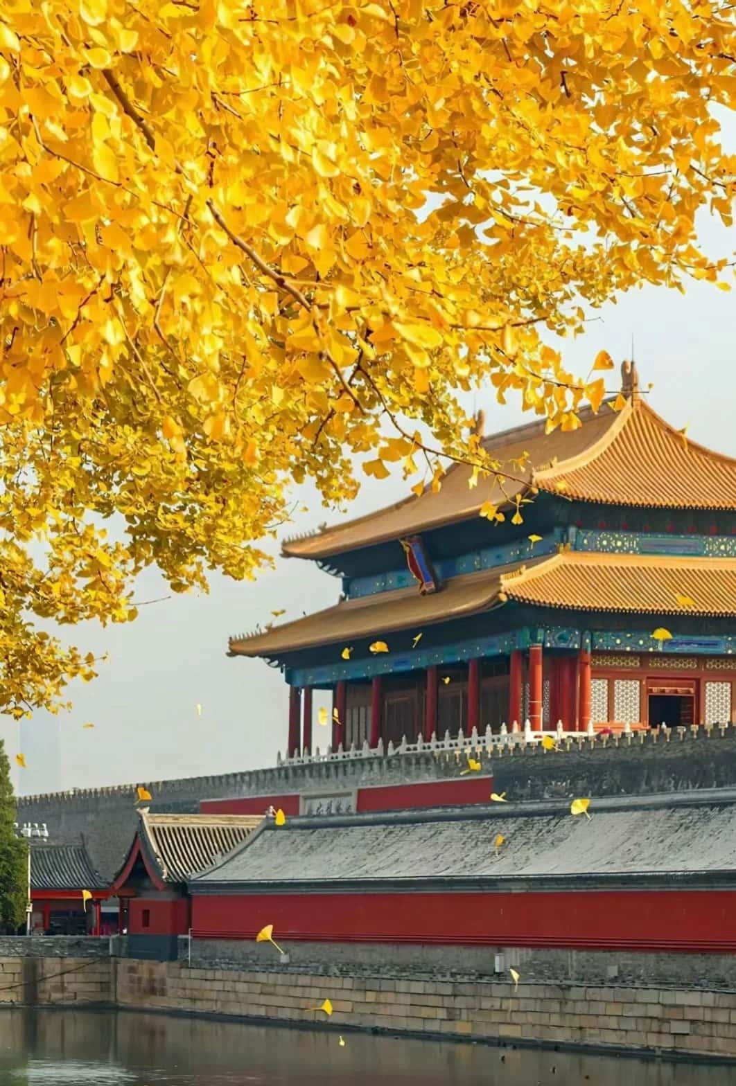 Forbidden City Beijing 2026: History, Highlights & Visitor Tips