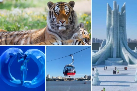 Harbin Attraction Tickets - Book & Compare Prices Online
