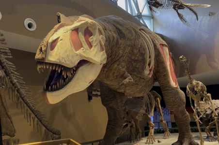 Shanghai Natural History Museum Guide (2026): Exhibits & Tips
