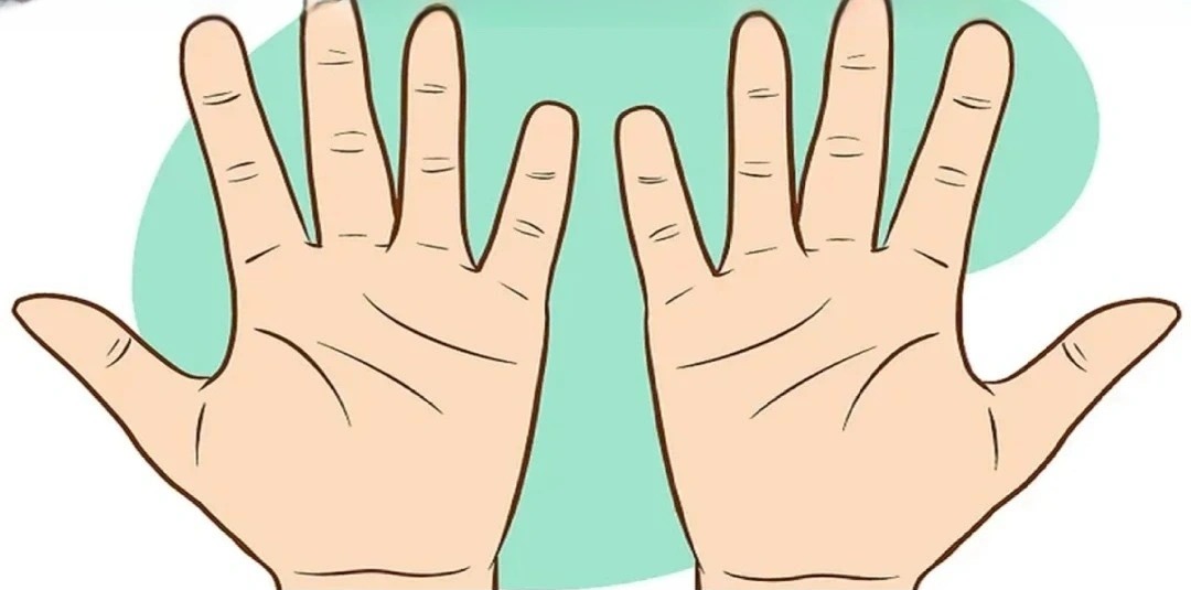 Palm Reading Guide: Understand Heart, Head, Life, and Fate Lines