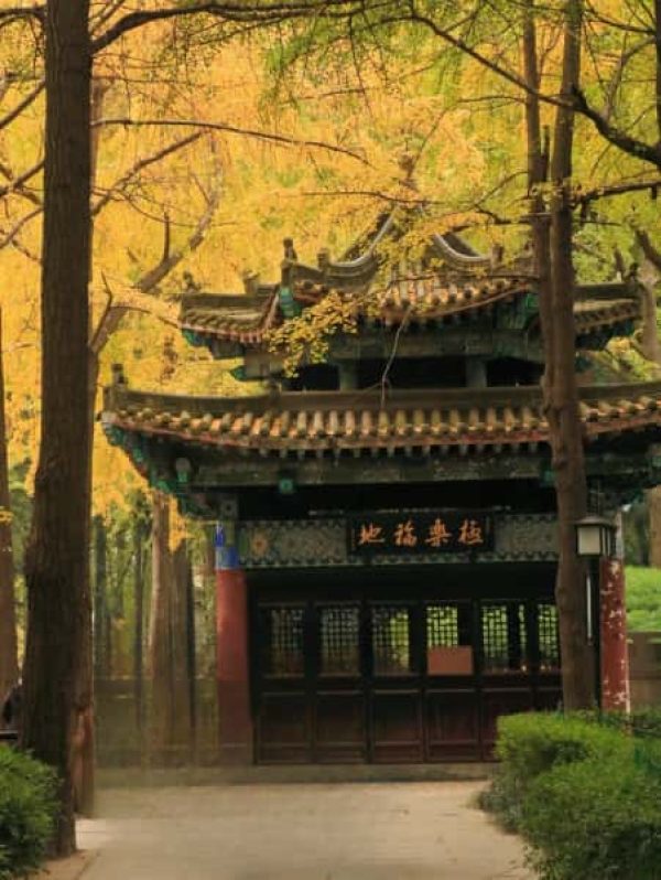 Top Things to See and Do in Chengdu: Must-Visit Attractions
