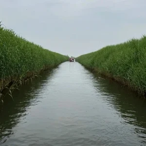 Hebei Province Travel Guide with Top Cities and Attractions