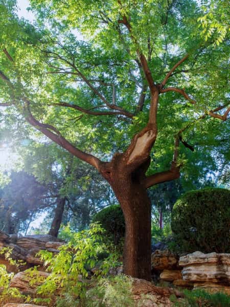 Explore Jingshan Park in Beijing: Views, History & Travel Tips