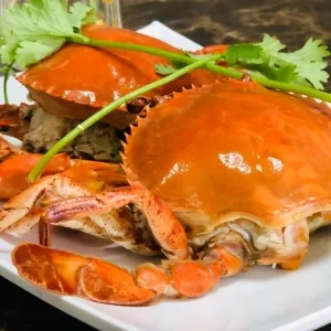 Hainan Province Travel Guide with Top Cities and Beach Resorts