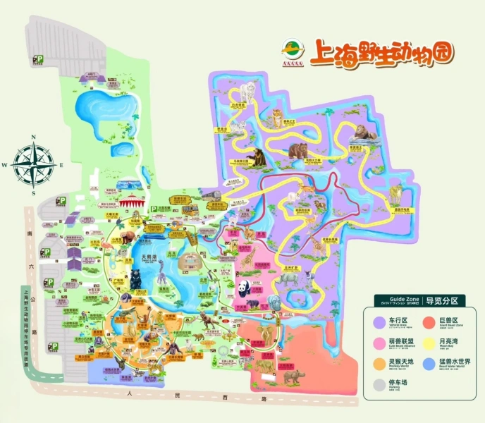 Shanghai Wild Animal Park Guide (2026): Top Attractions & Tips