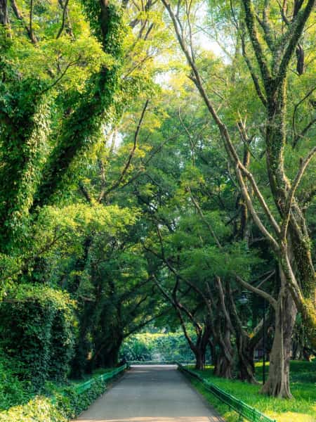 Top 45 Things to Do in Guangzhou 2026: Must-Visit Attractions