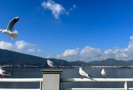 Dianchi Lake Kunming Travel Guide 2026 | Best Things to Do & Visitor Tips