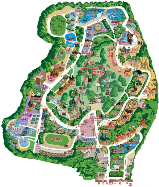 Safari Park Shenzhen Guide: Tickets, Attractions, and Tips