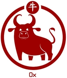 Year of the Ox: Meaning, Predictions and Characteristics