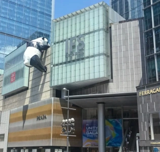 Chunxi Road Pedestrian Street Guide - Shopping & Dining