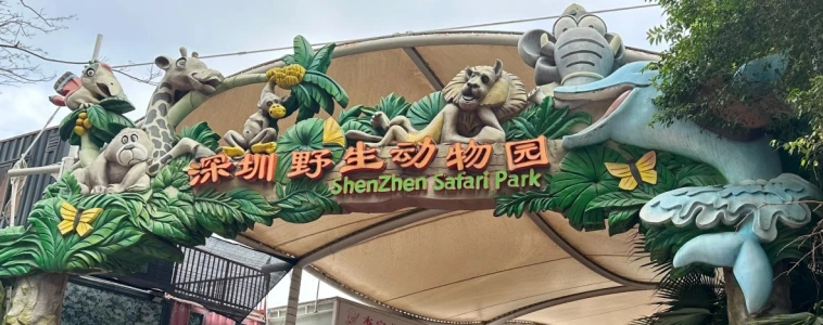 Top Things to Do in Shenzhen | 2026 Travel Guide