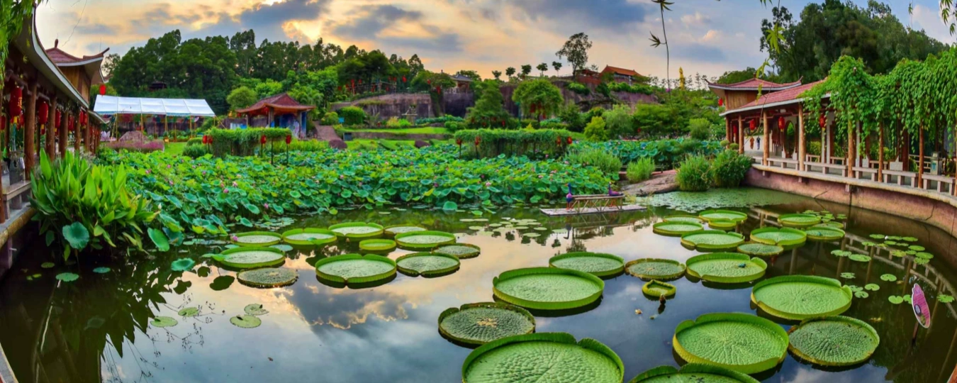 Lotus Hill Resort Tickets - Book & Compare Prices Online