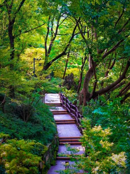 Top Things to Do in Chengdu 2026: Must-See Attractions & Highlights