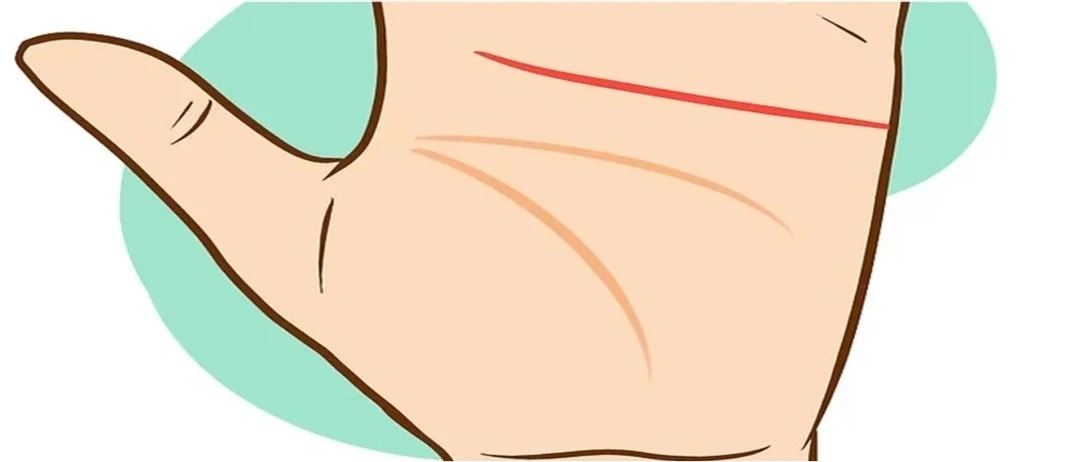 Palm Reading Guide: Understand Heart, Head, Life, and Fate Lines