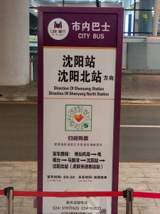 Shenyang Taoxian Airport: Your Northeast China Hub