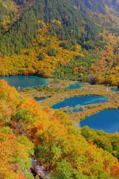 Jiuzhai Valley National Park Travel Guide: Scenic China Adventure