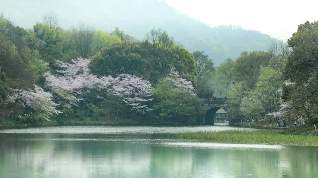 West Lake Hangzhou Travel Guide: Top Attractions & Tips
