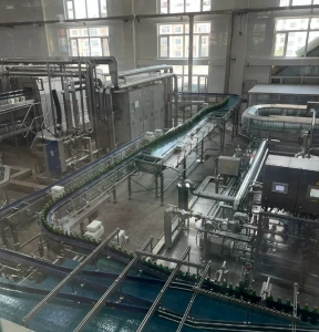 Discover Tsingtao Beer Museum in Qingdao: History, Beer, and Fun