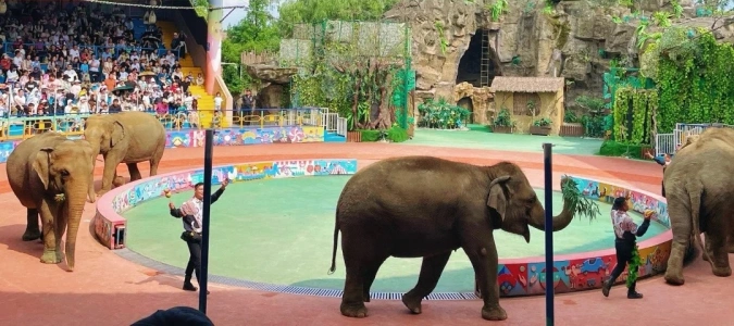 Shanghai Wild Animal Park Guide (2026): Top Attractions & Tips