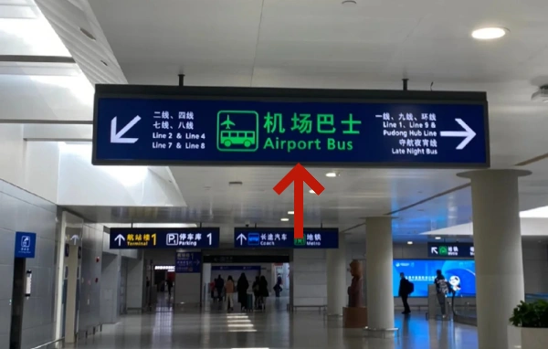 Shanghai Pudong Airport Guide: Overview and Transport Options