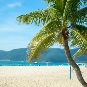 Hainan Province Travel Guide with Top Cities and Beach Resorts