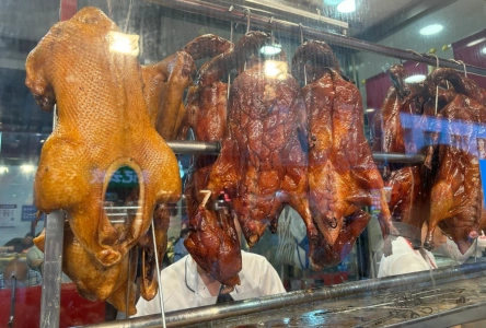 Discover Shekou Old Street - Culture & Cuisine in Shenzhen