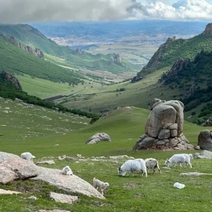 Inner Mongolia Travel Guide with Top Cities and Grassland Adventures