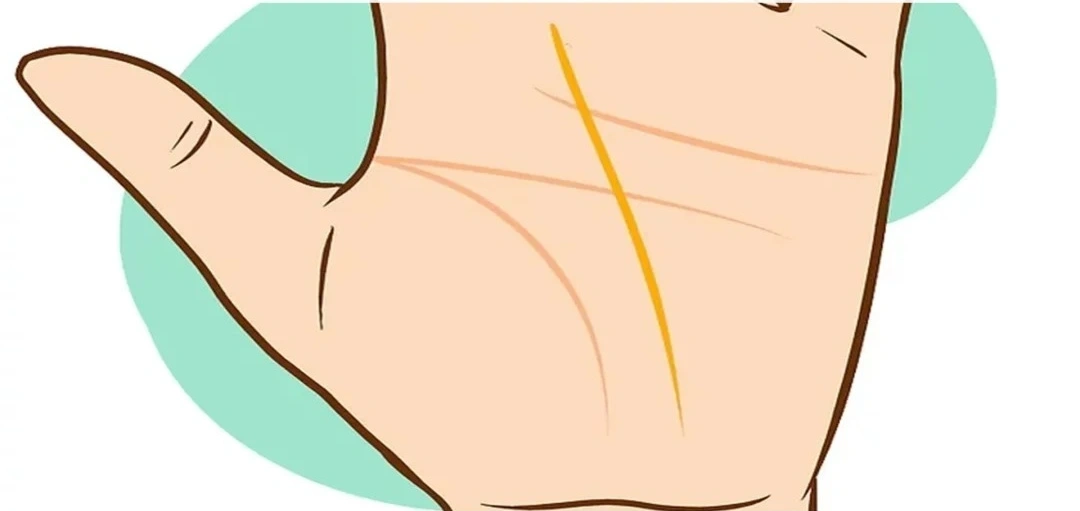 Palm Reading Guide: Understand Heart, Head, Life, and Fate Lines