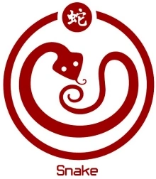 Year of the Snake 2025: Meaning, Predictions and Characteristics