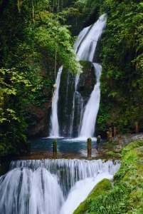 Complete Travel and Visitor Guide to Mount Qingcheng