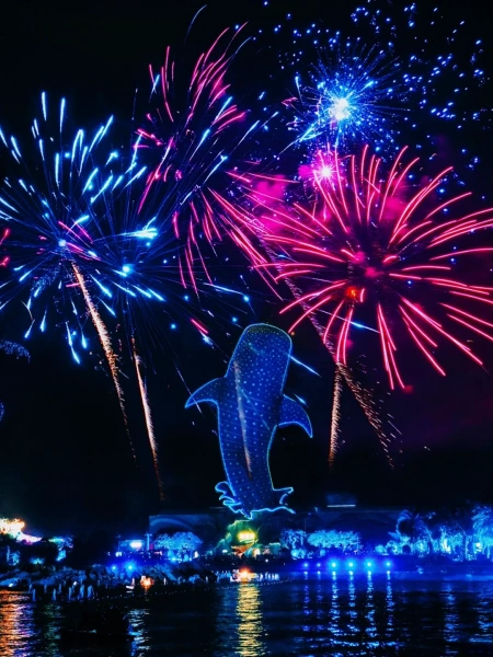 Chimelong Ocean Kingdom: Top Attractions and Travel Tips