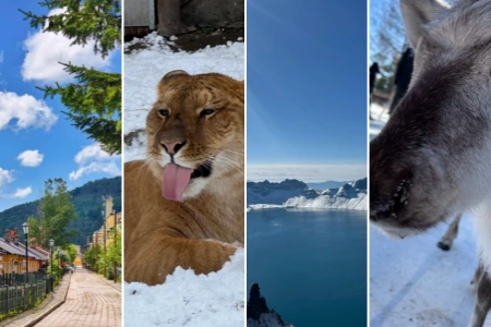 Harbin, Changbaishan and Yanji 6-Day Private Tour | Winter Highlights